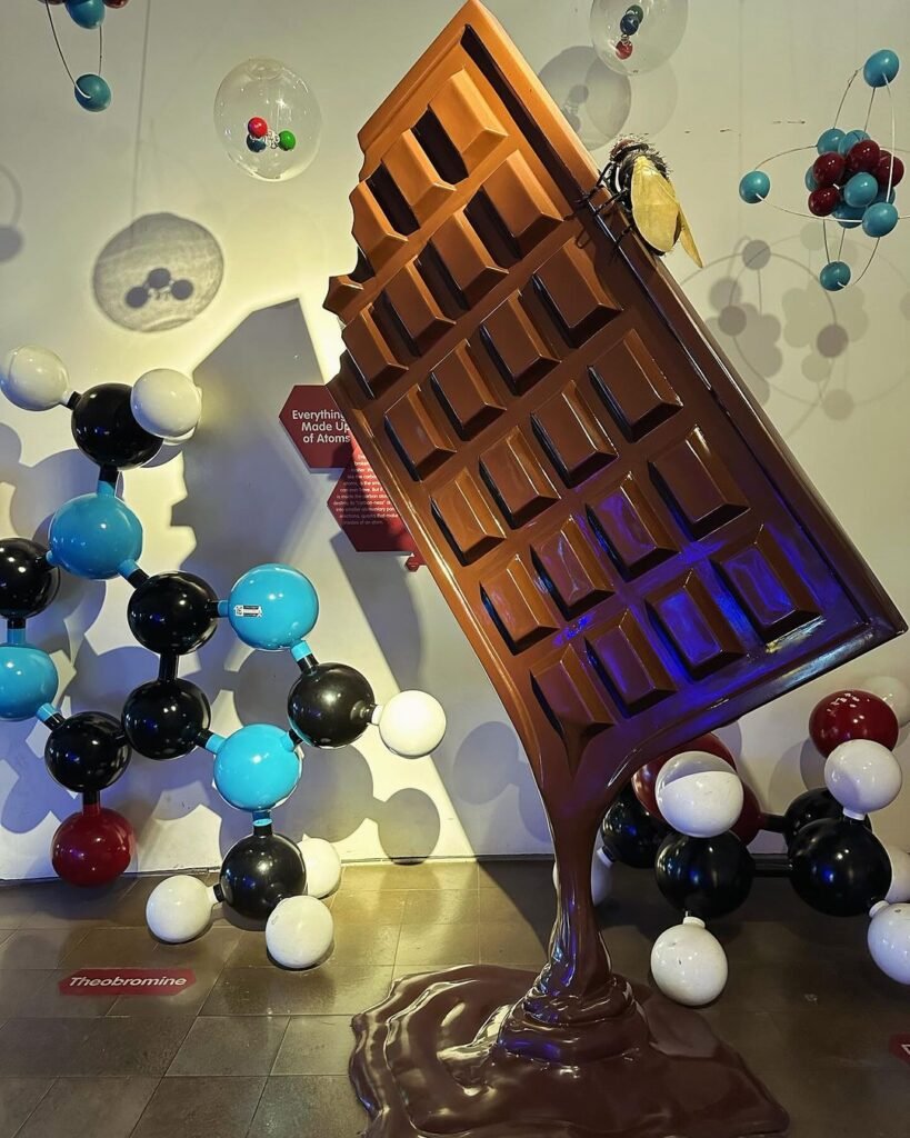 Discover The Best Things To Do In BGC | Complete Guide