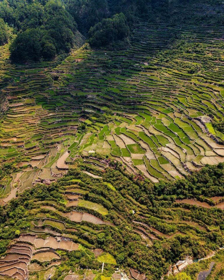 Sagada Mountain Province Tourist Spot | Complete Guide 2024