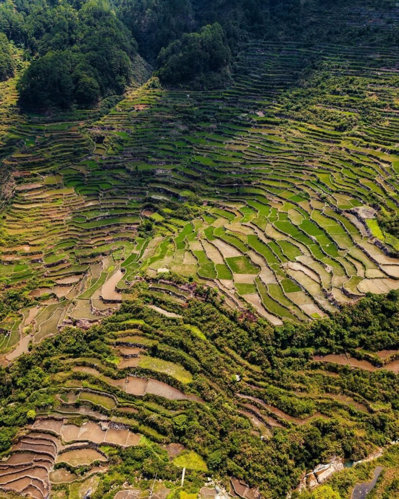 Sagada Mountain Province Tourist Spot | Complete Guide 2024