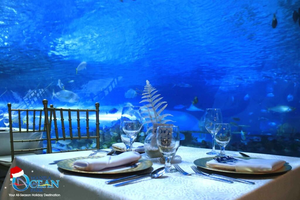 Manila Ocean Park 2026 Guide: Ticket Prices, Promos & Aqua Adventure Review