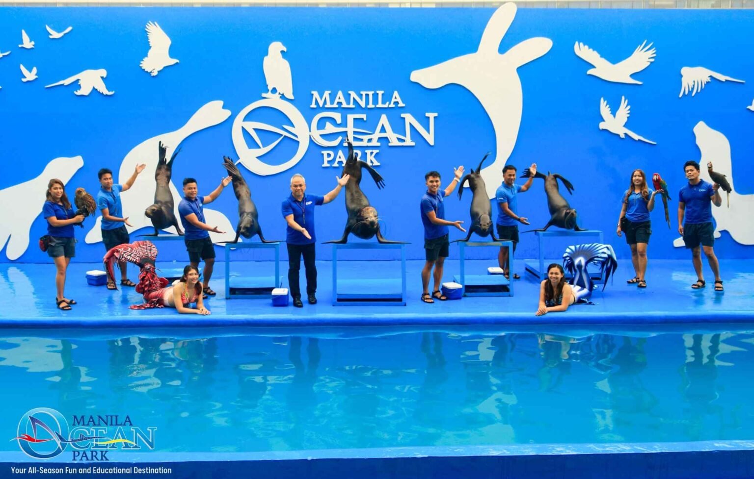 Manila Ocean Park 2026 Guide: Ticket Prices, Promos & Aqua Adventure Review