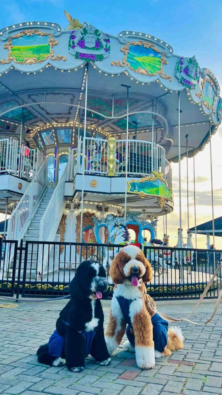 Sky Ranch Tagaytay Travel Guide 2026: Ticket Prices, Rides & Itinerary