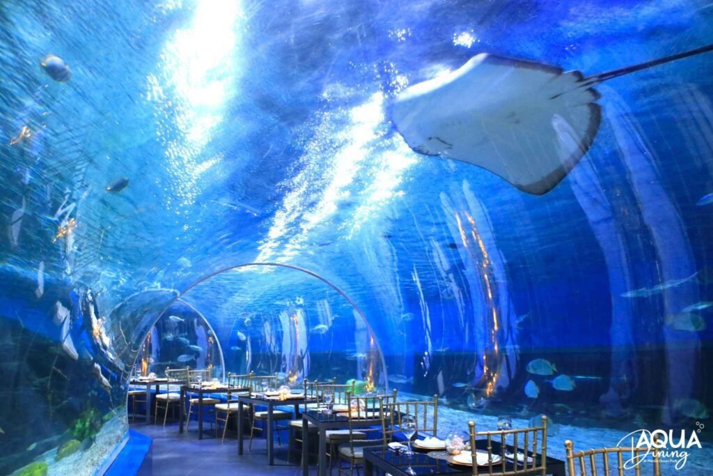 Manila Ocean Park 2026 Guide: Ticket Prices, Promos & Aqua Adventure Review