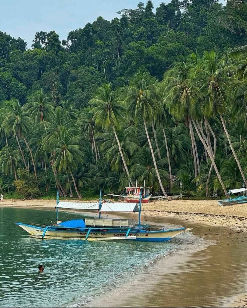 Ultimate Guide To Port Barton Beach In Palawan 2025