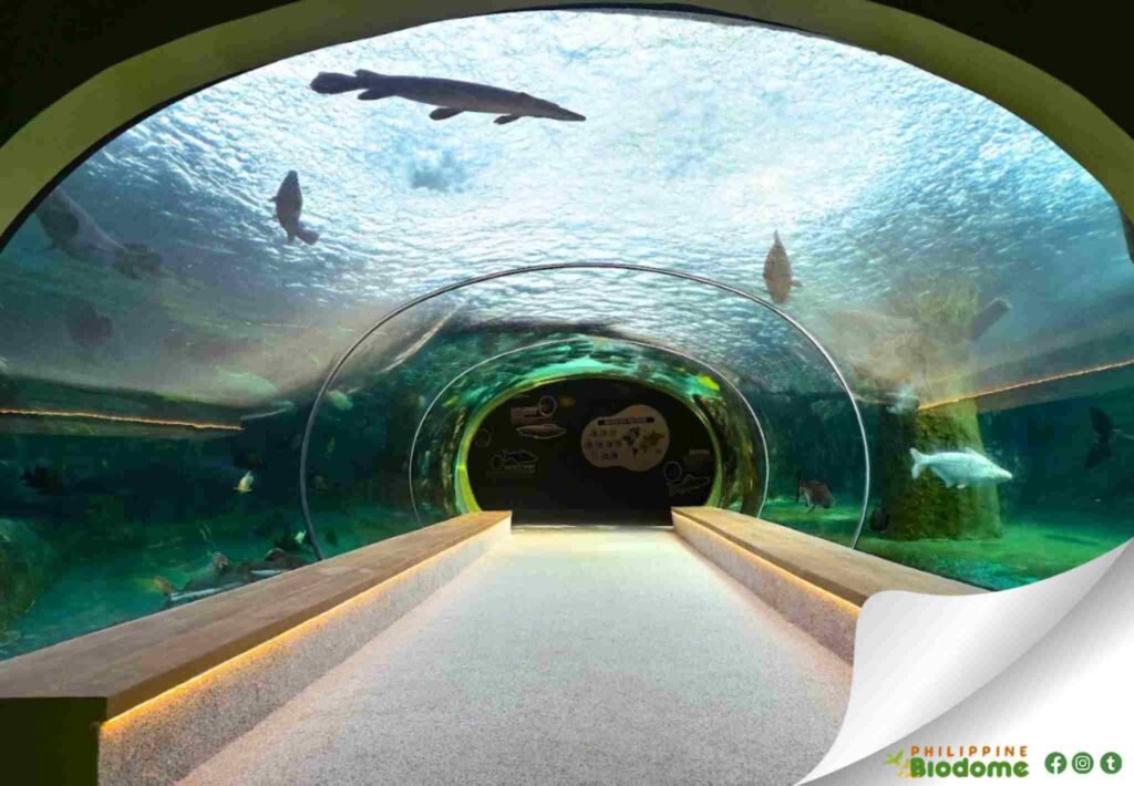 Philippine Biodome 2026 Guide: Ticket Prices, Hacks & "Borealis" Nights