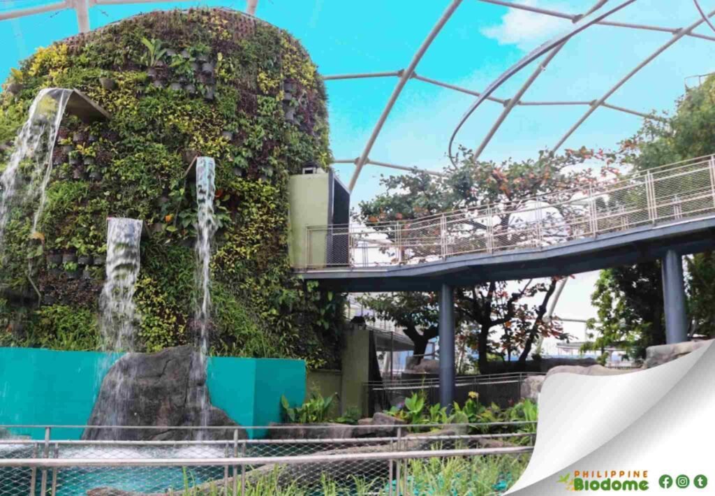 Philippine Biodome 2026 Guide: Ticket Prices, Hacks & "Borealis" Nights