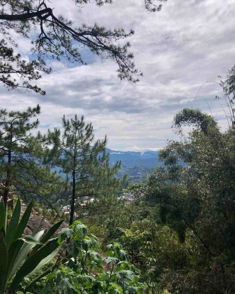 Ultimate Guide To Mines View Park Baguio 2025
