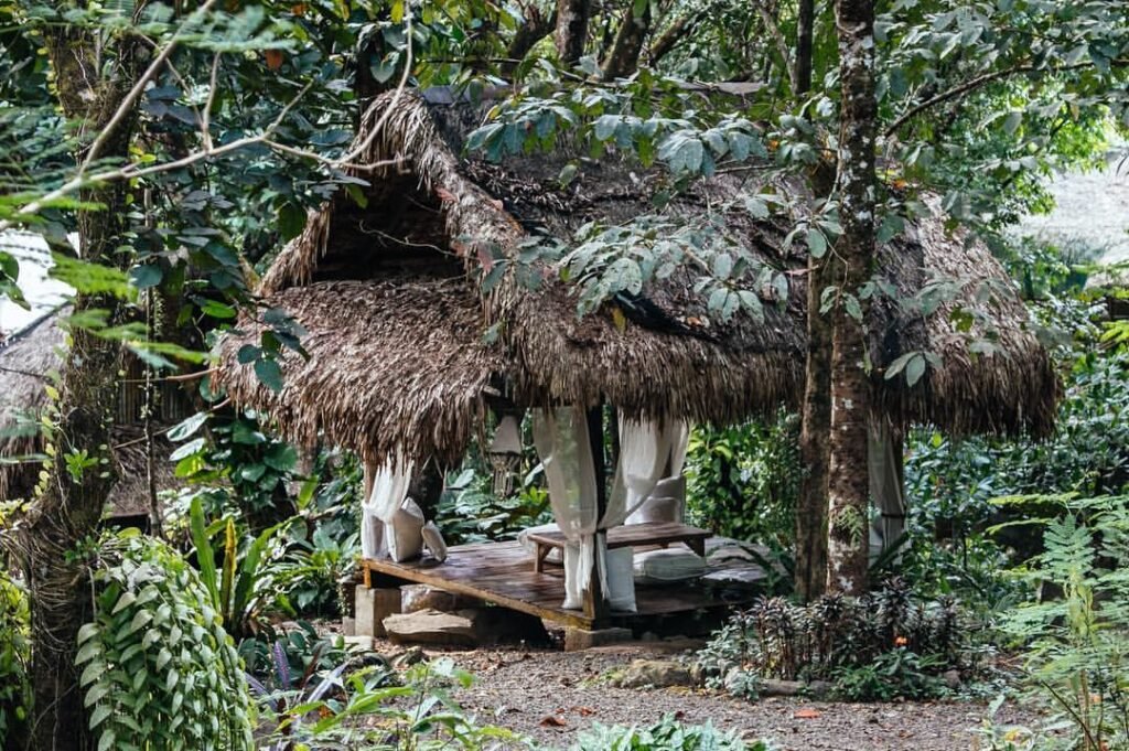 Ultimate Guide To Mount Purro Nature Reserve In Antipolo 2025