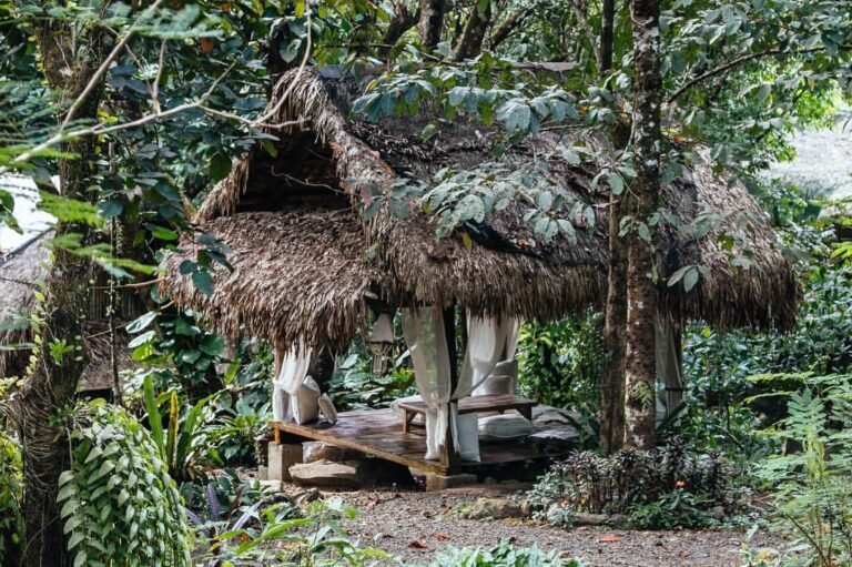 Ultimate Guide To Mount Purro Nature Reserve In Antipolo 2025