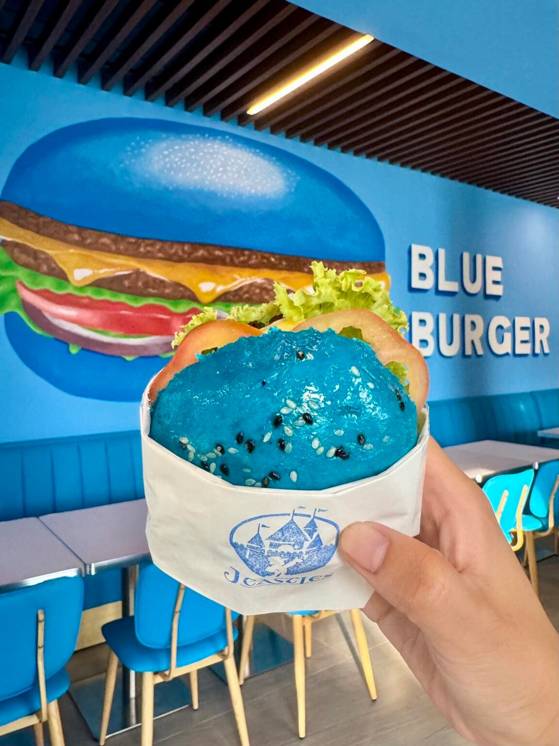 J Castle Batangas Guide 2025: Ticket Prices, Rides & DIY Itinerary