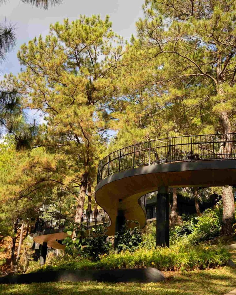 Ultimate Guide To Mt. Camisong Forest Park And Event In Itogon Benguet