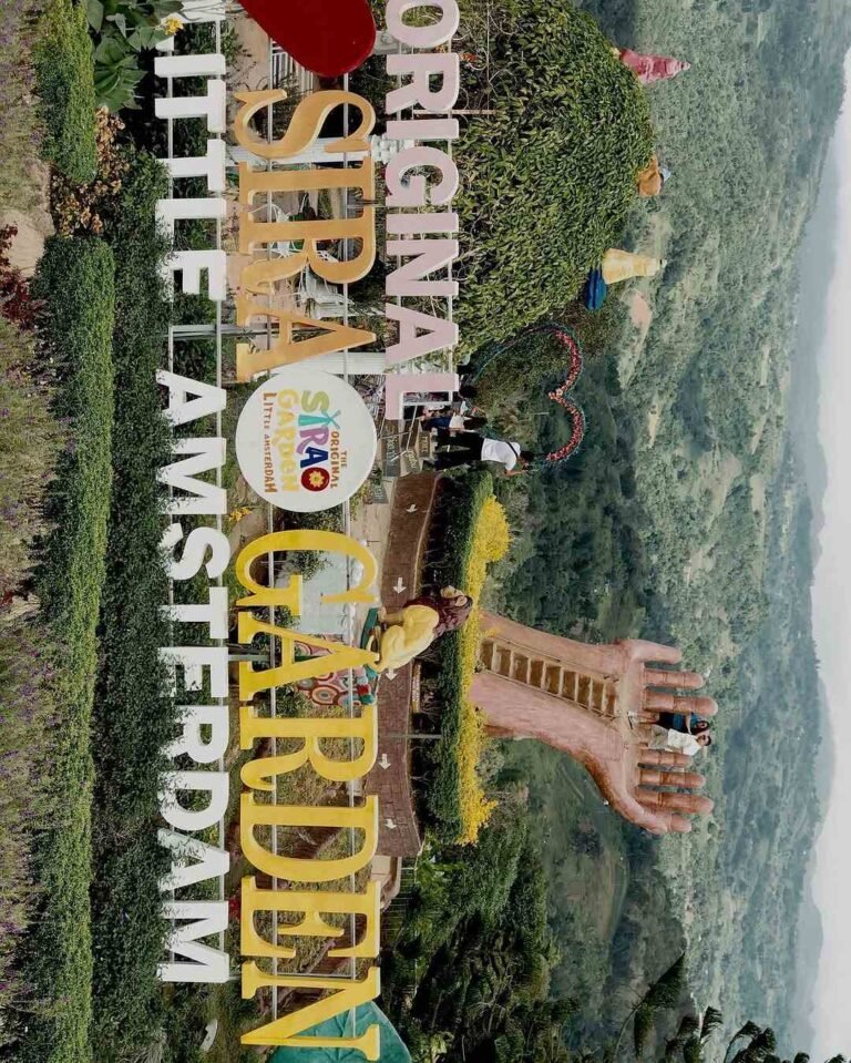 Ultimate Guide To Sirao Flower Garden In Cebu 2025