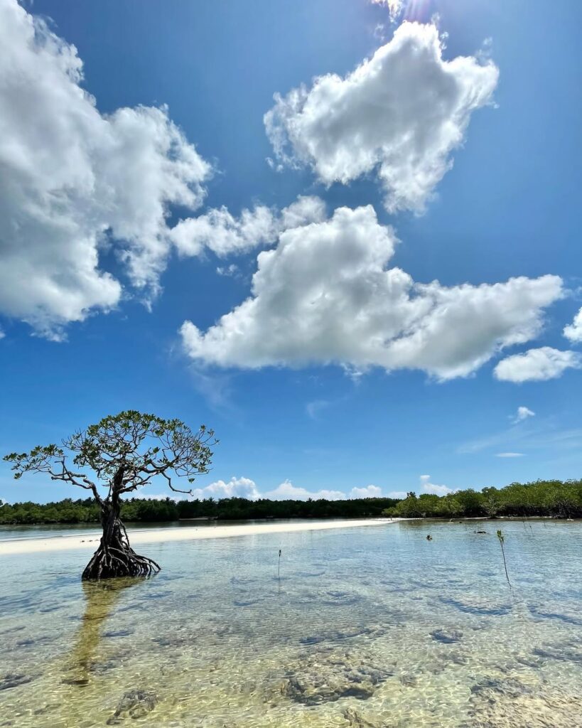 Ultimate Guide To Cagbalete Island Mauban Quezon 2026