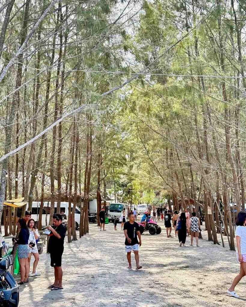 Ultimate Guide To Liwliwa Zambales 2025 | Beach Resort