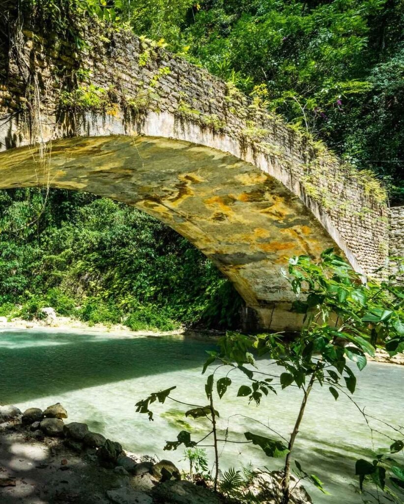 Ultimate Travel Guide To Oslob Cebu 2025 | All You Need To Know