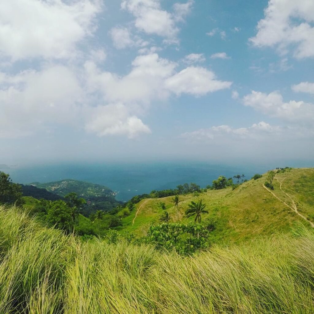Ultimate Guide To Mt. Gulugod Baboy In Batangas 2025