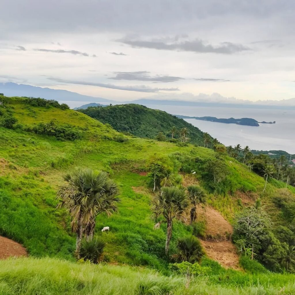 Ultimate Guide To Mt. Gulugod Baboy In Batangas 2025