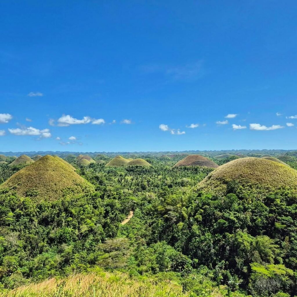 Ultimate Travel Guide To Chocolate Hills In Bohol 2025