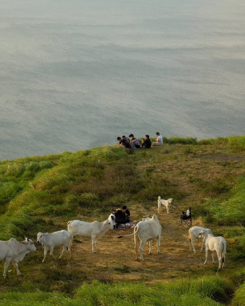 Ultimate Guide To Mt. Gulugod Baboy In Batangas 2025