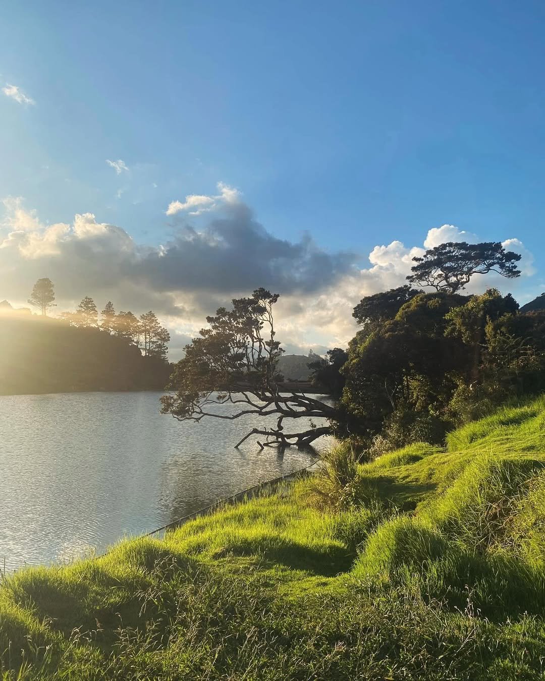 Ultimate Guide To Lake Tabeo In Kabayan Benguet 2025