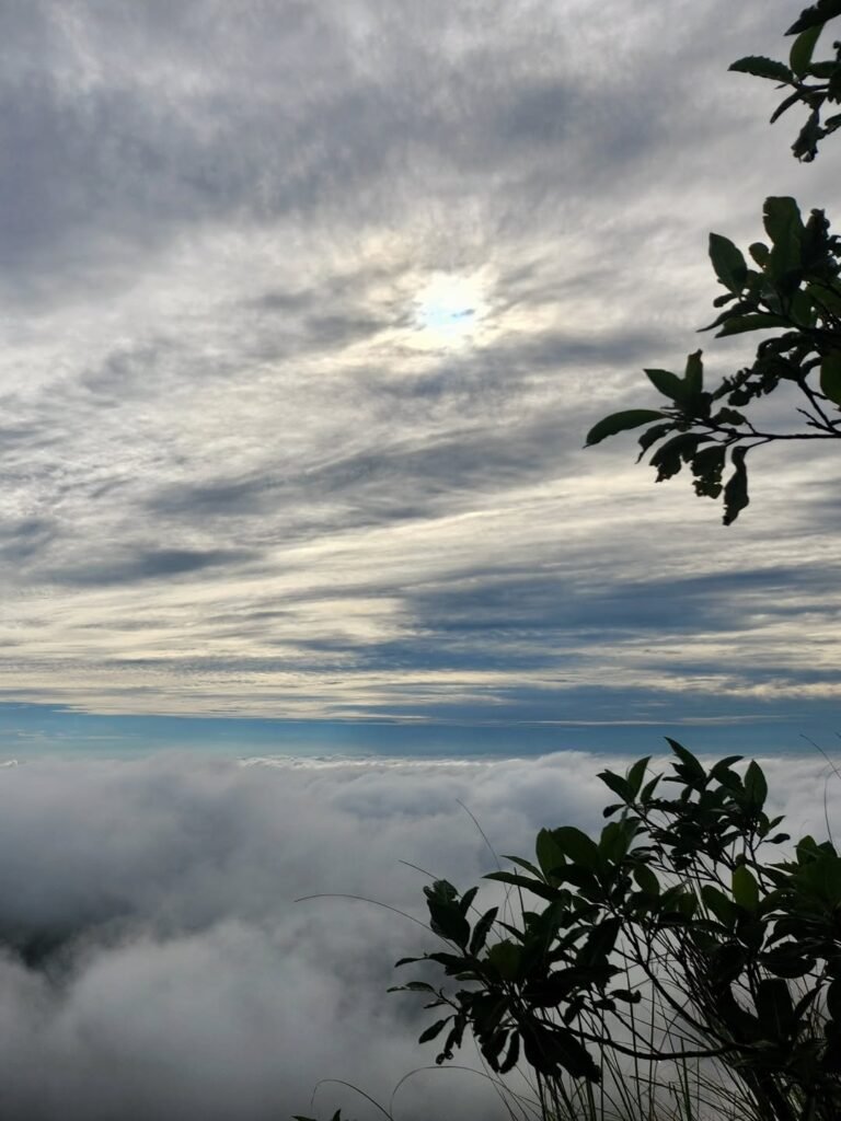 Mt. Talamitam DIY Guide 2026: Itinerary, Budget & Difficulty