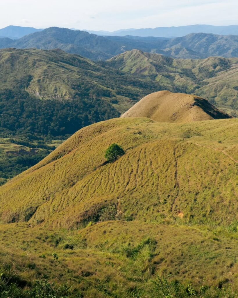 Mt. Baruyen Hiking Guide 2026: The "Windows XP" Trail