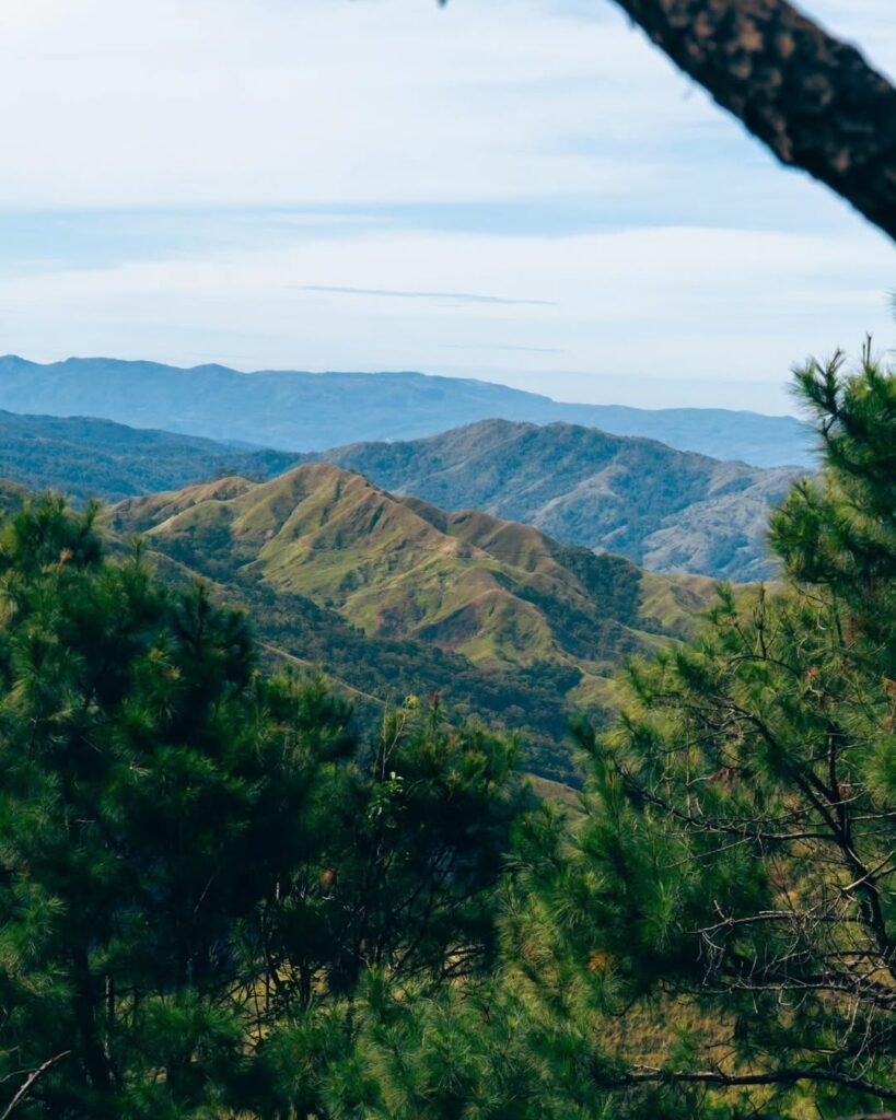Mt. Baruyen Hiking Guide 2026: The "Windows XP" Trail