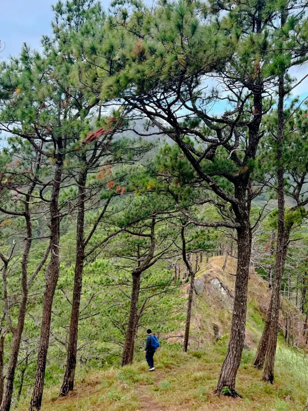 Mt. Kimat Hiking Guide 2026: Route, Difficulty, Fees, Itinerary & Jump-Off