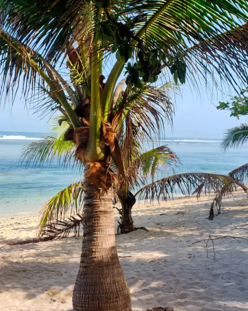 Ultimate Guide To Patar Beach In Bolinao Pangasinan 2026